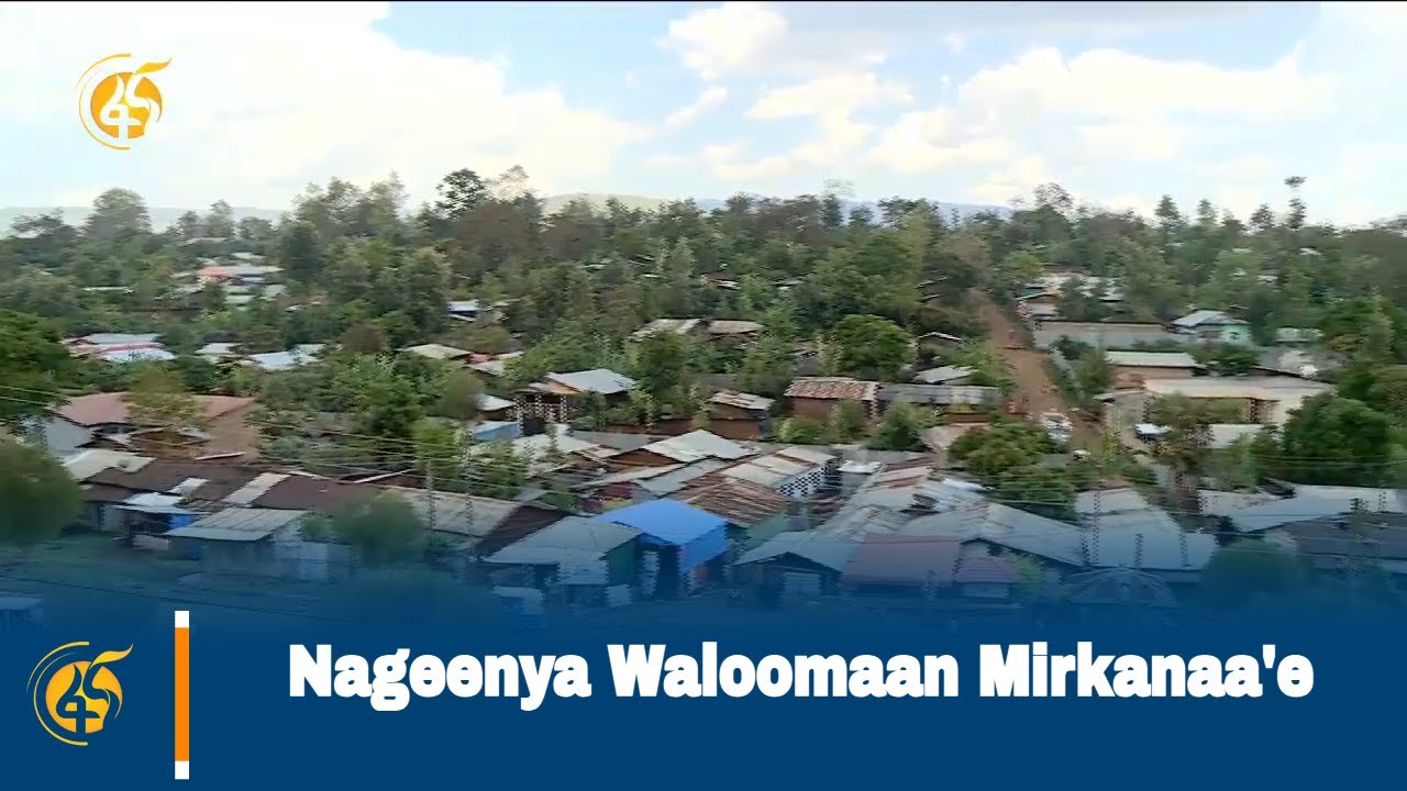 Nageenya Waloomaan Mirkanaa'e - YouTube