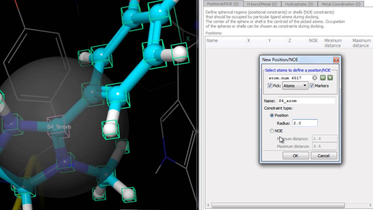 Receptor Grid Generation - Setting Positional Constraint and NOE ...