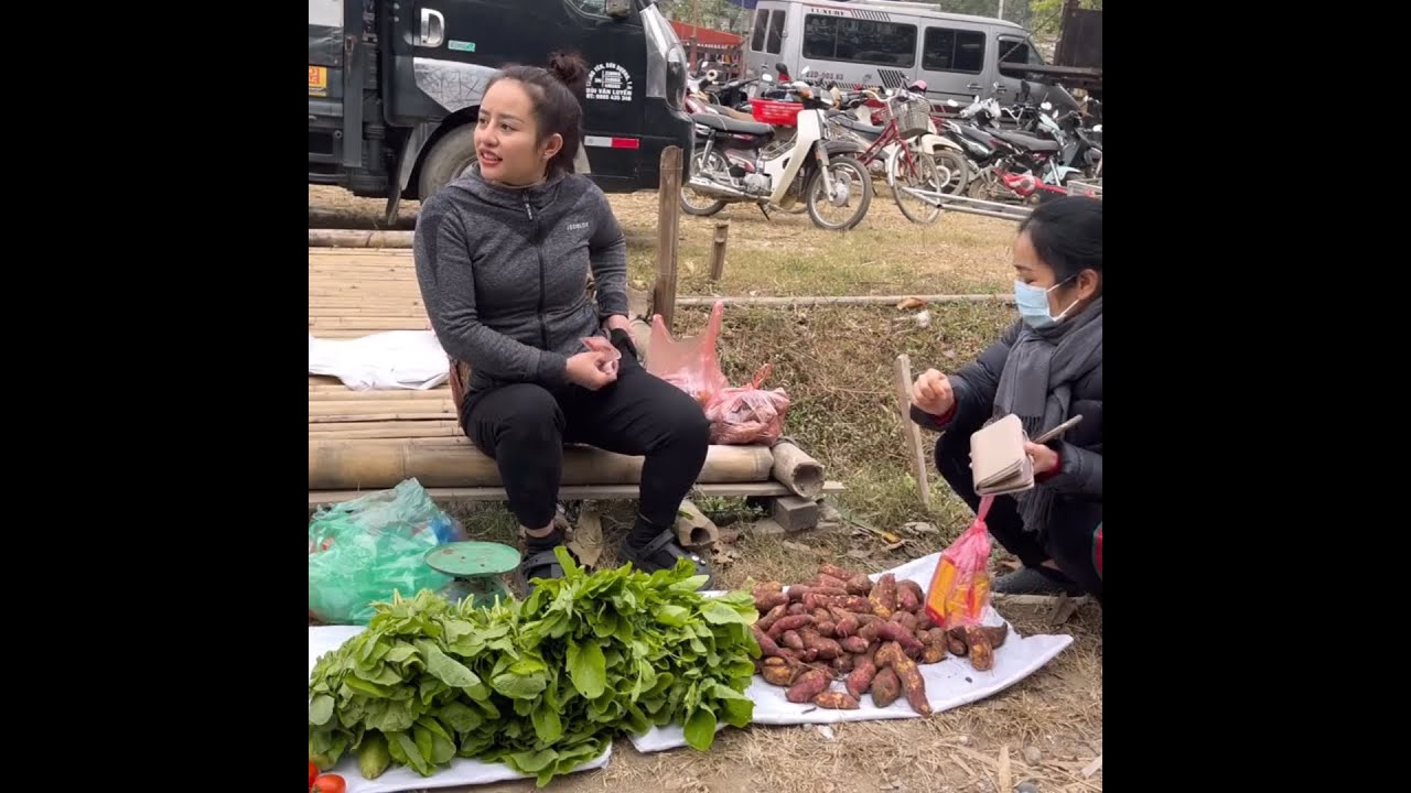 Orphaned Hmong girl, Harvest sweet, bok choy, melon to go to the market ...