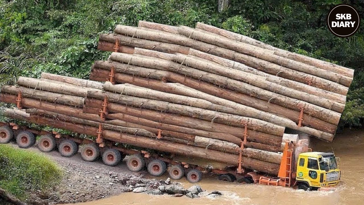 Extreme Dangerous Logging Machines in Action | Fastest Tree Cutting ...