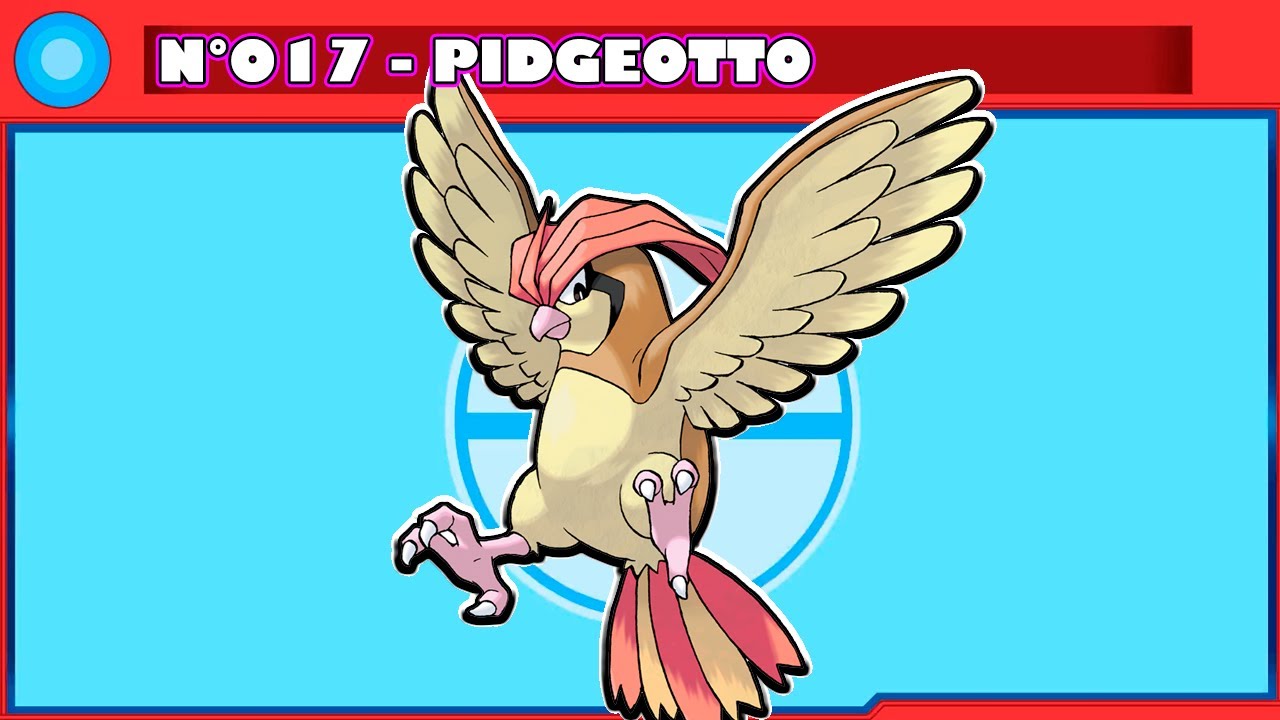 N°0017 - PIDGEOTTO - POKEDEX LATINO - YouTube