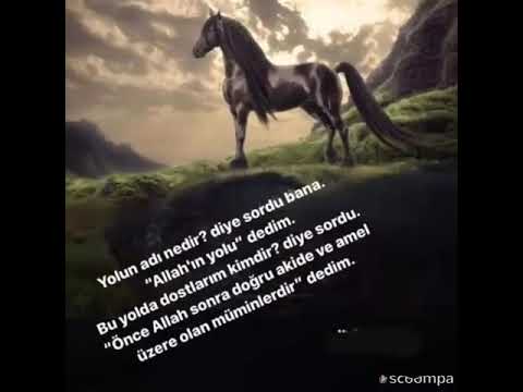 Yolum Allahın yolu!... Neşid☝️