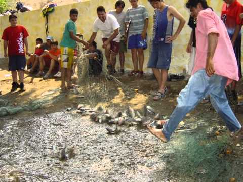 INFIERNILLO MICHOACAN VIDEO PROMOCIONAL COYOTE CAMP. - YouTube