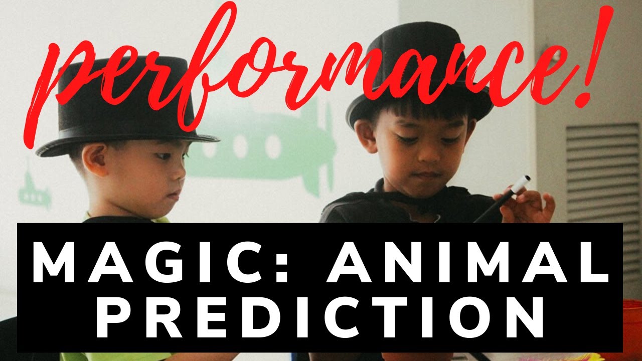 Performance of Animal Prediction - YouTube