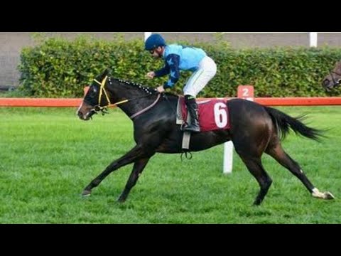 AYDOĞAN SAN KOŞUSU 22 Ekim 2025  İSTANBUL 