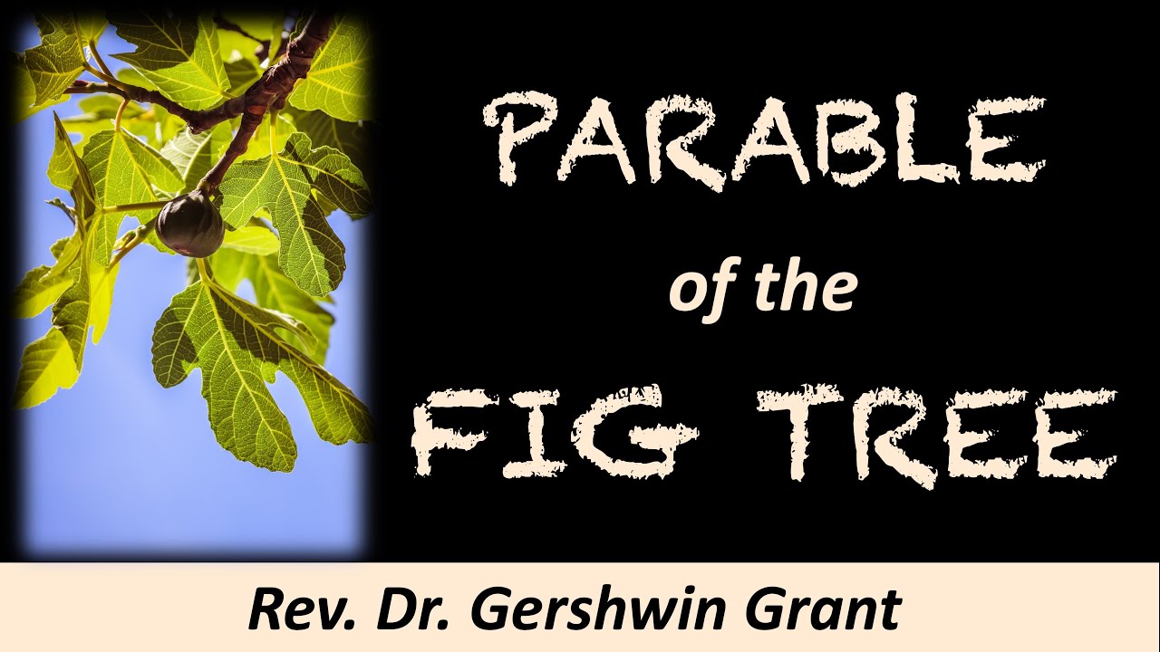 The Parable of the Fig Tree // Matthew 24:32-41 // Rev. Dr. Gershwin ...