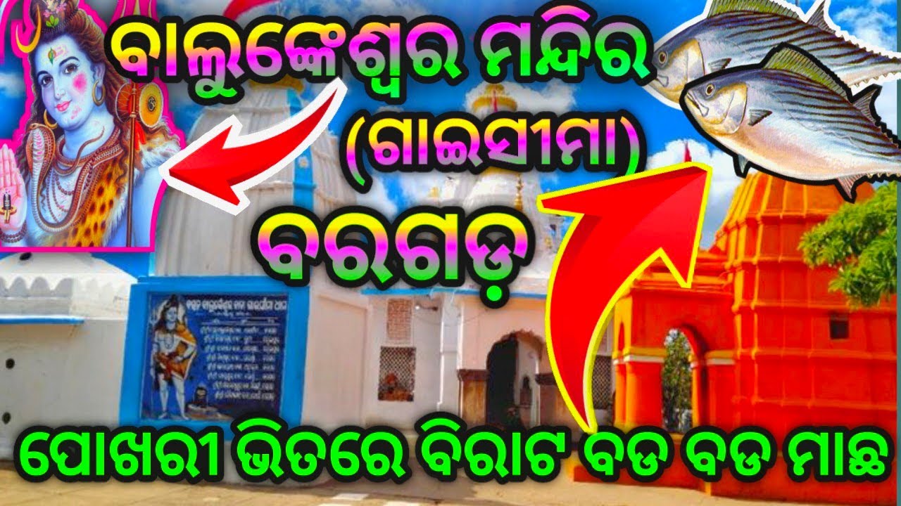 Gaisima shiva mandir || ଅଷ୍ଟଶମ୍ଭୁ ମନ୍ଦିର ବରଗଡ ||Balunkeswara temple # ...
