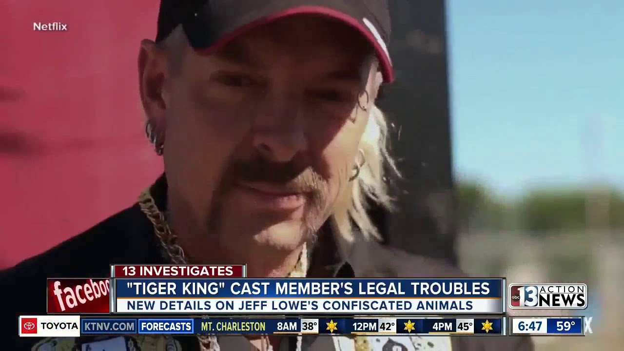 Jeff Lower's tigers still in Nevada - YouTube