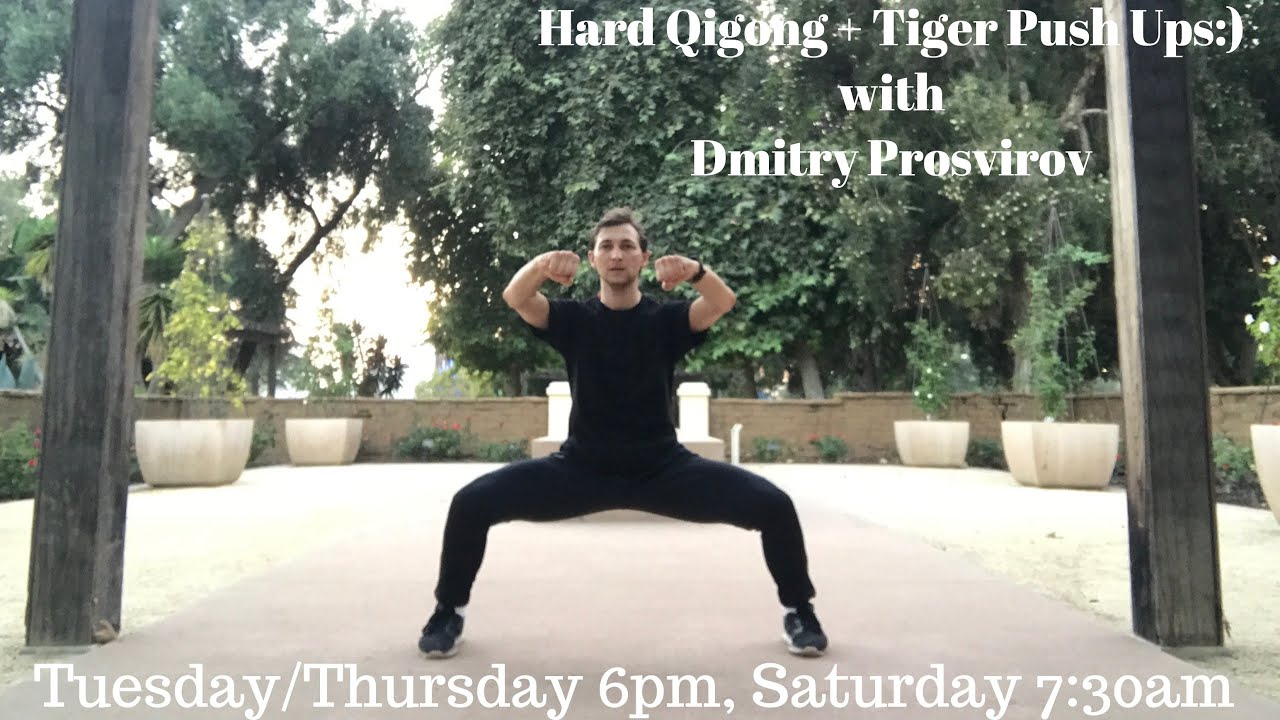 Sample of Online Bodyweight Workout (Hard Qigong + Tiger Push Ups) #47 ...