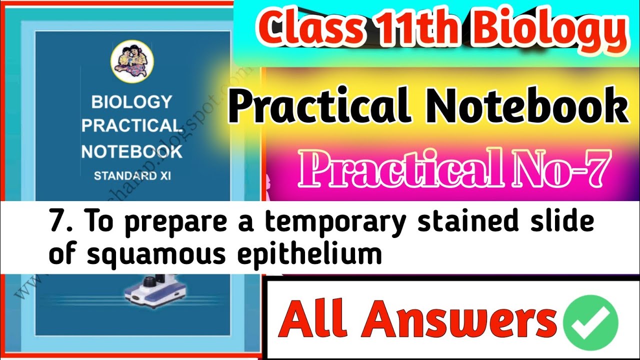 Class 11th Biology|| Practical Notebook|| 7) To Prepare A Temporary ...