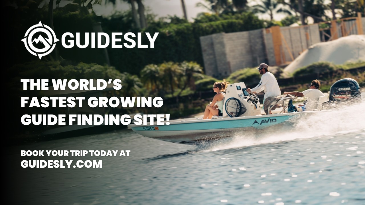 Guidesly – The World's Fastest Growing Guide Finding Service! - YouTube