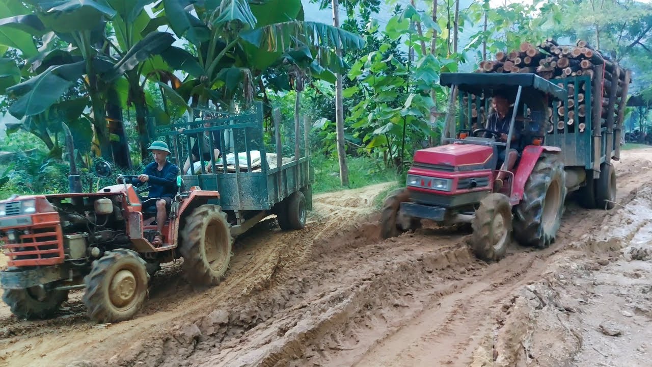 Mountain Life: Daily Work of a Timber Tractor Driver & Building a ...