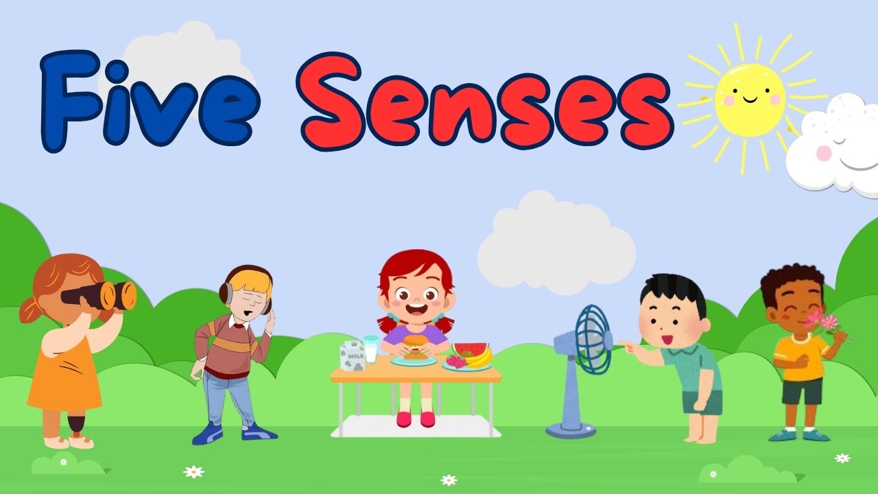 human five senses | learn about the five senses | educational videos ...
