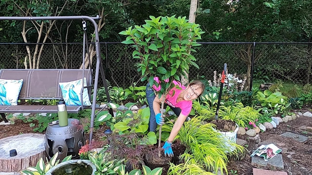 Beautifying my Chain Link Fence & Planting Tree Form Pinky Winky 🌺🎨💚 ...