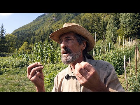 Vlašički robinzon - motika je najbolji lijek i to besplatan