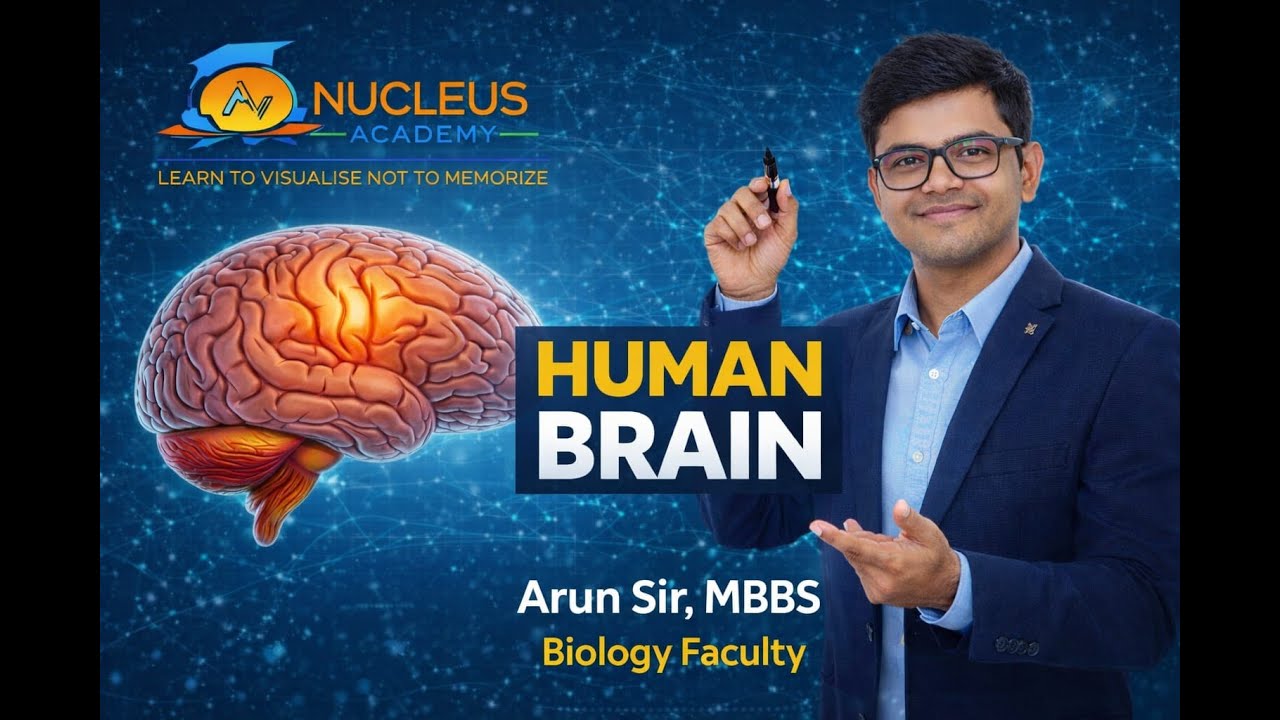 Human Brain | Covering of Brain | Control and Coordination | NEET ...