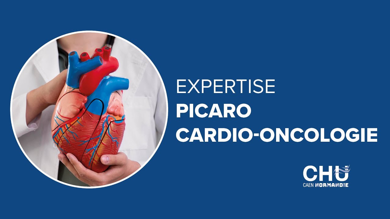 PICARO : une filière unique en France - YouTube