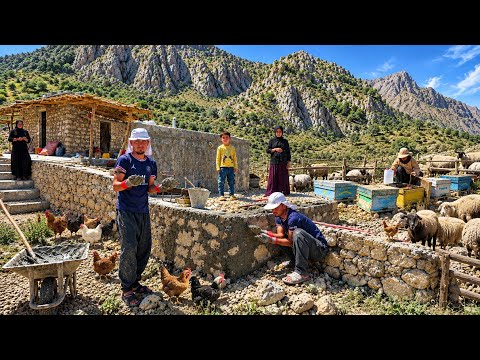 Building in the Heart of the Mountains ⛰️🧱 | Tending to Bees, Sheep, and Chickens with Family 🐑🐔