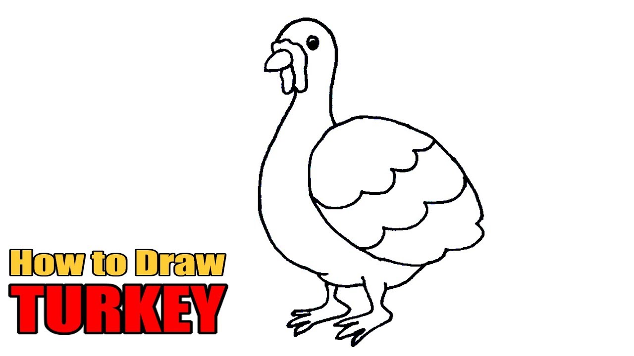 How to Draw a Turkey (Cartoon) - turkey drawing pictures - YouTube