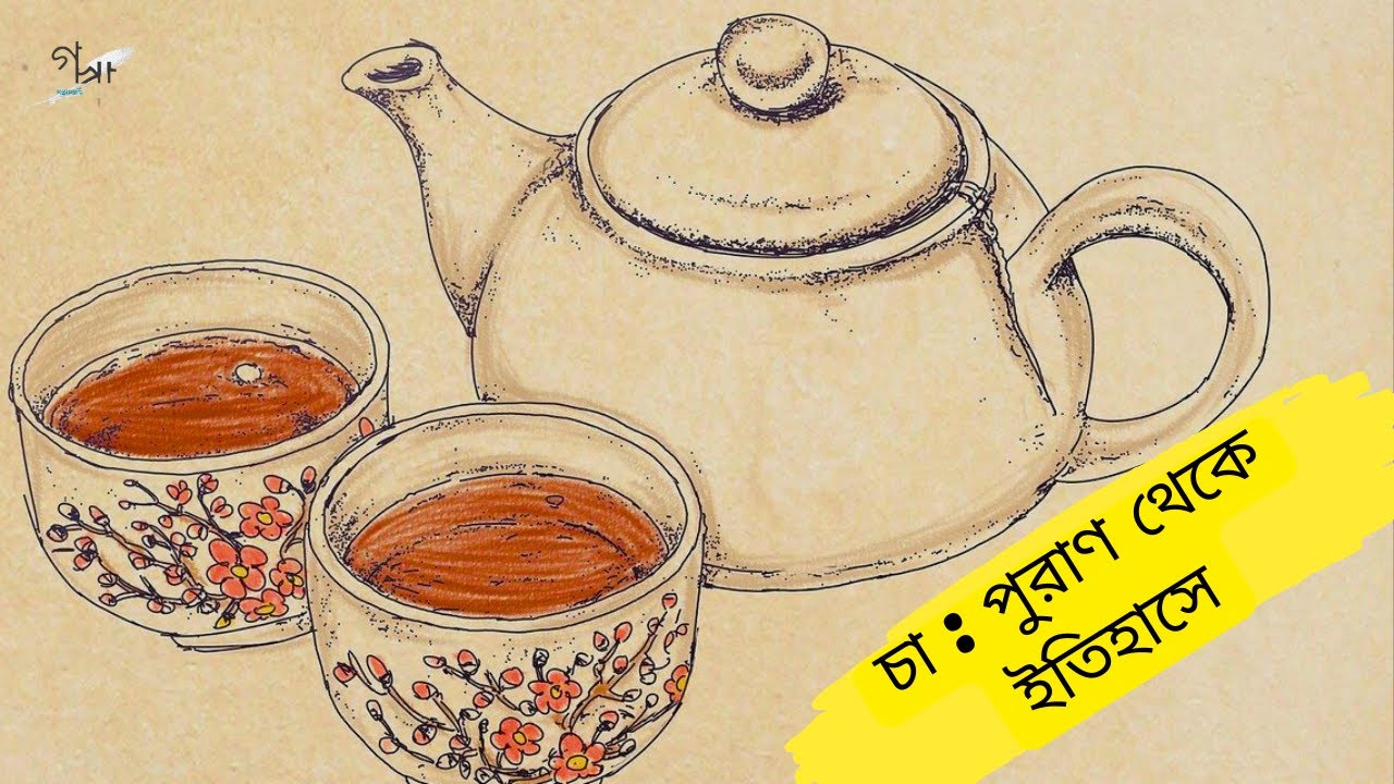 চা : পুরাণ থেকে ইতিহাসে | Story of Tea: From Mythology to History - YouTube