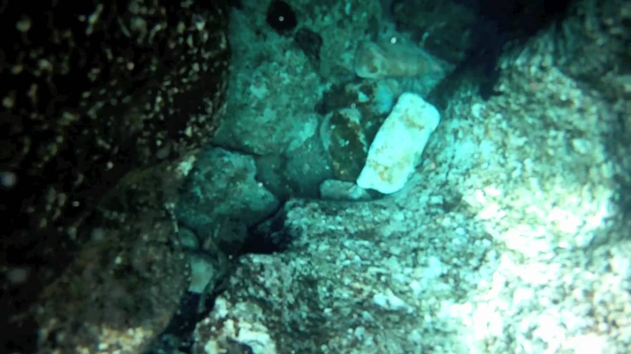 Salt Springs, Florida - Underwater Video HD - YouTube