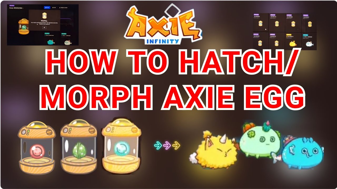 PAANO MAGIGING ADULT ANG EGG NG AXIE | HOW TO MORPH AXIE? - YouTube