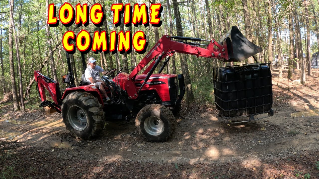 TODAY IS THE DAY tiny house, homesteading, off-grid, cabin build, DIY ...