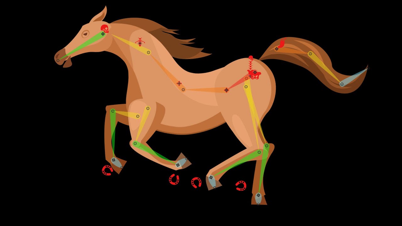 Horse running - Animation in After Effects - YouTube