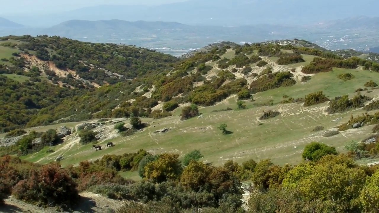 kinigi lagou ston Katw Olympo - YouTube