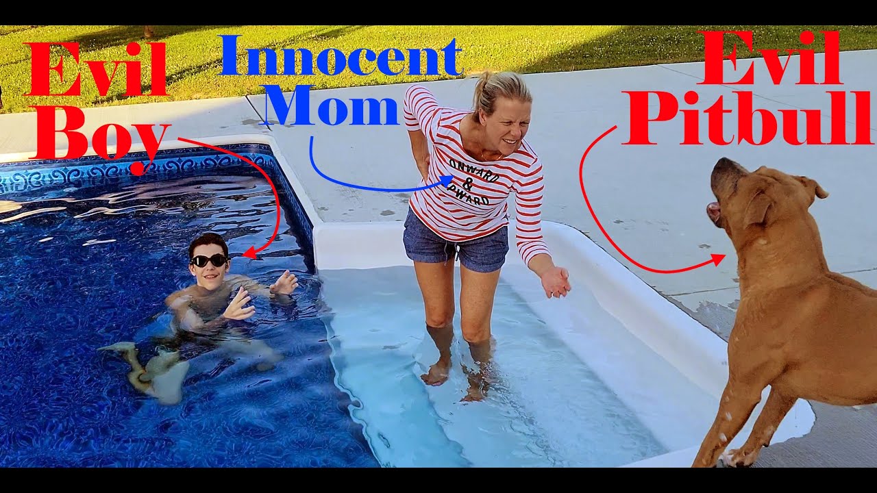 Pool Games: A Boy & his Pit Bull of Doom! - YouTube
