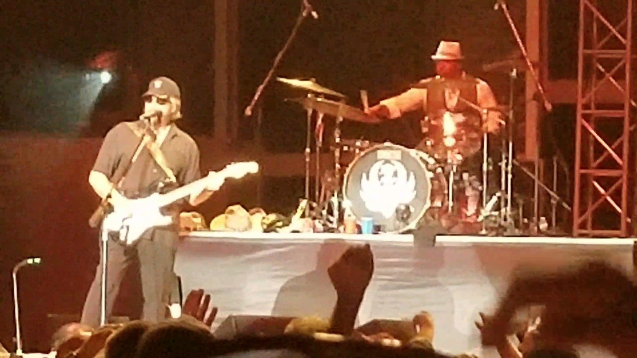 Hank Williams Jr/All My Rowdy Friends Are Coming Over Tonight/I Really ...