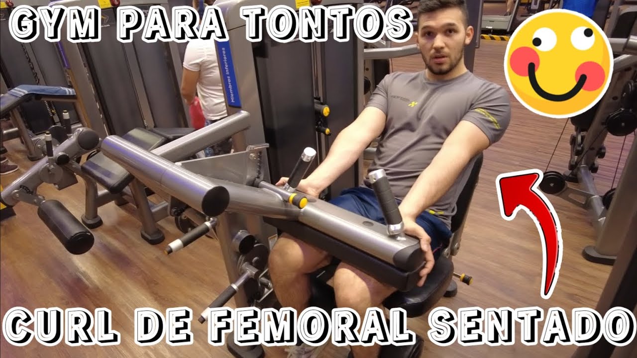Aprende a hacer el CURL DE FEMORAL SENTADO | GYM PARA TONTOS ...