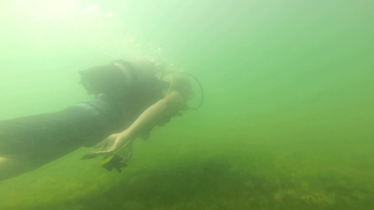 Scuba diving | Collecting Shells - YouTube