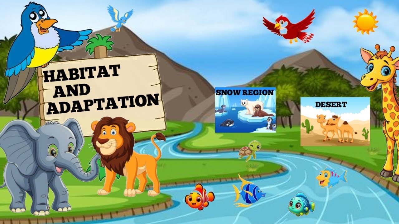 The living organism Characteristics and Habitat & Adaptation - YouTube