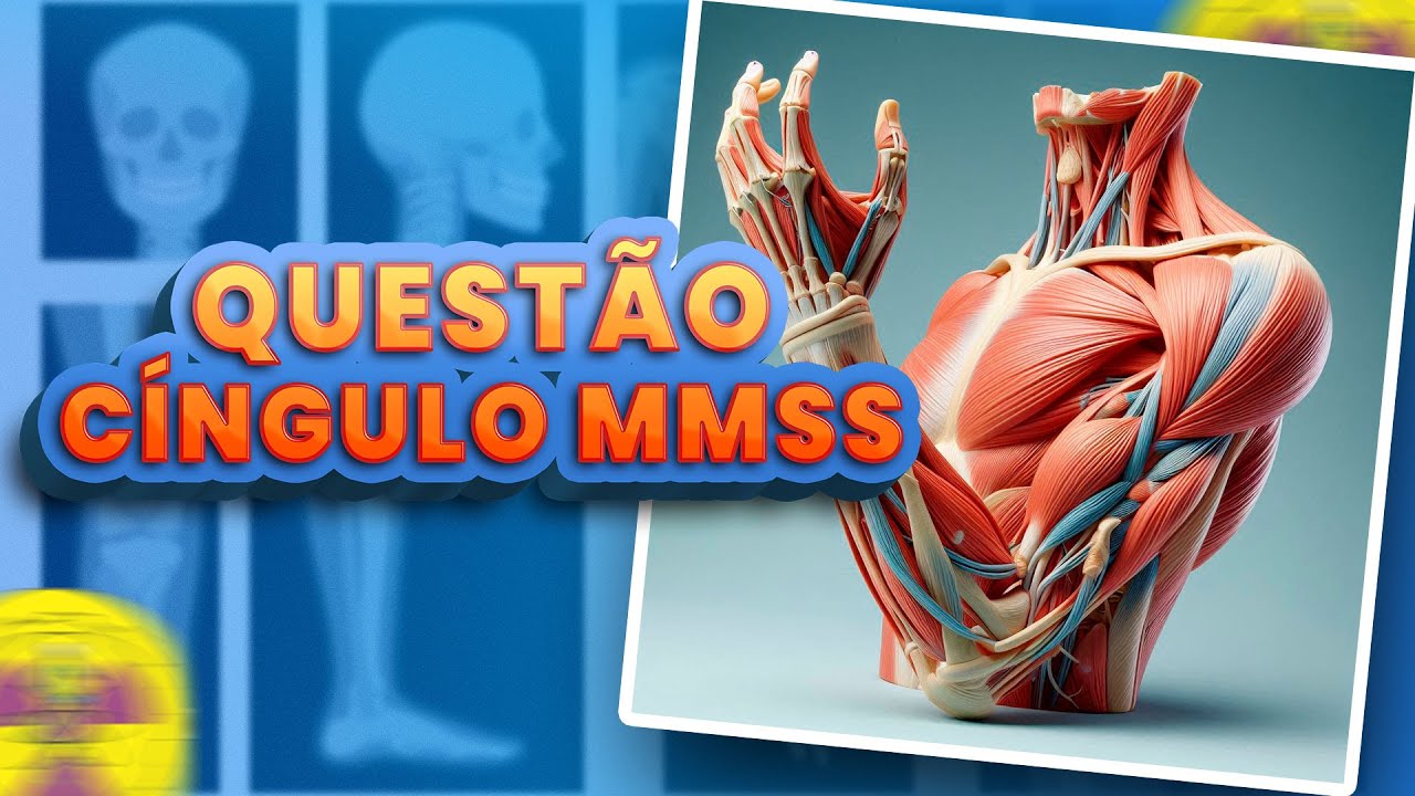 QUESTÕES | ANATOMIA DO CÍNGULO SUPERIOR - YouTube
