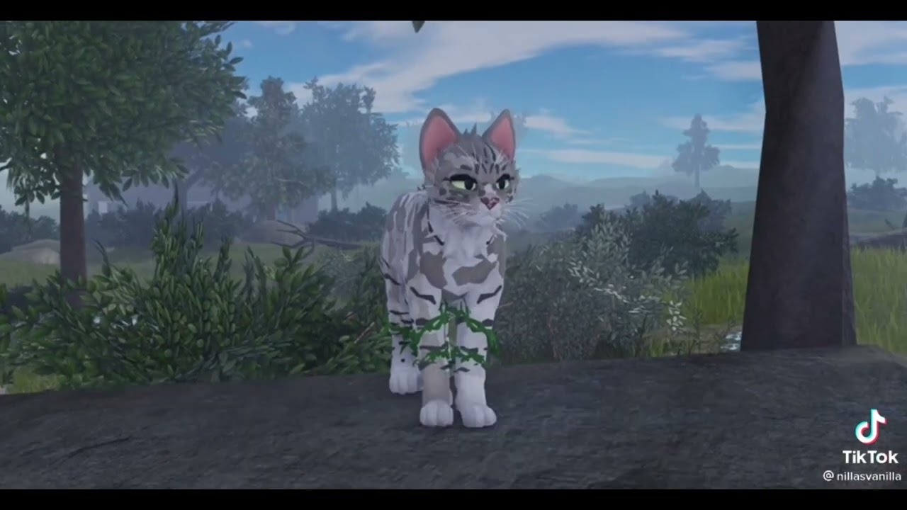 WCUE TikToks Compilation | Warrior cat ultimate edition - YouTube