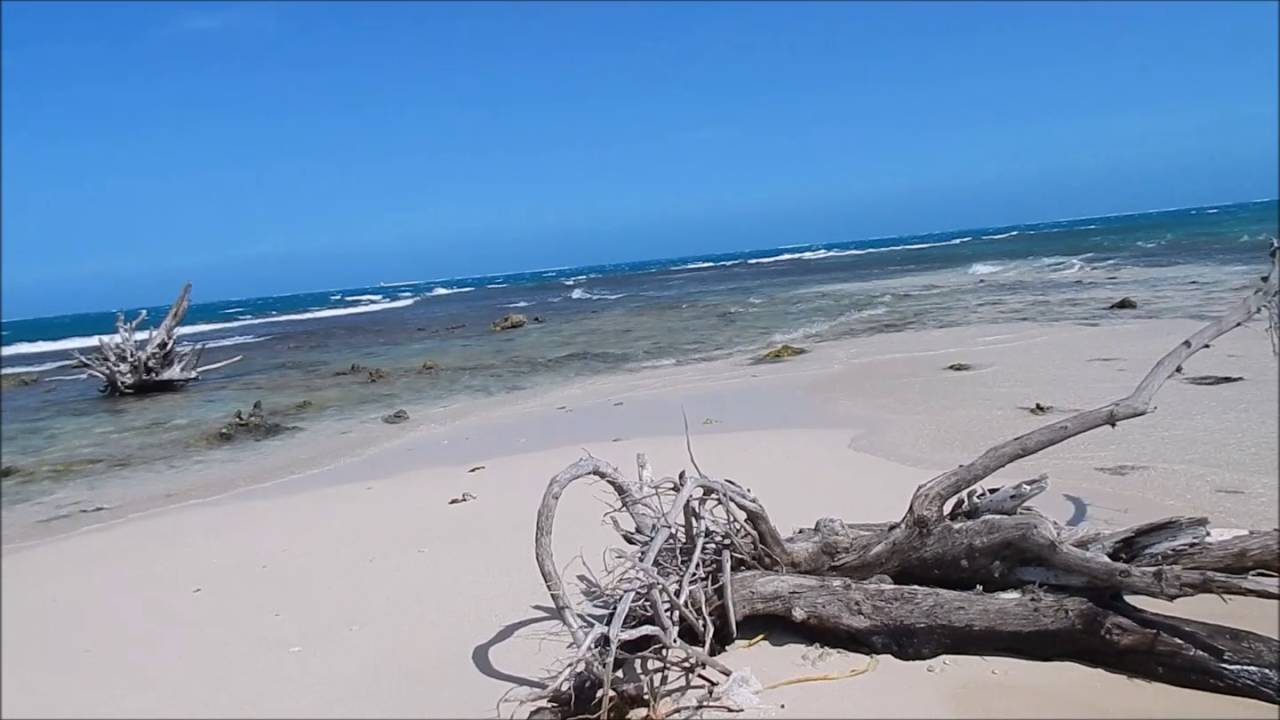 Whoops... | Beach Day - YouTube