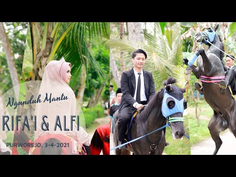Ngunduh Mantu (Rifa'i & Alfi) di Purworejo | Naik kuda jingkrak