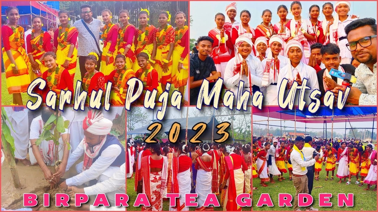 Sarhul Puja 2023 || Birpara Tea garden Sarhul Puja || North Bengal ...