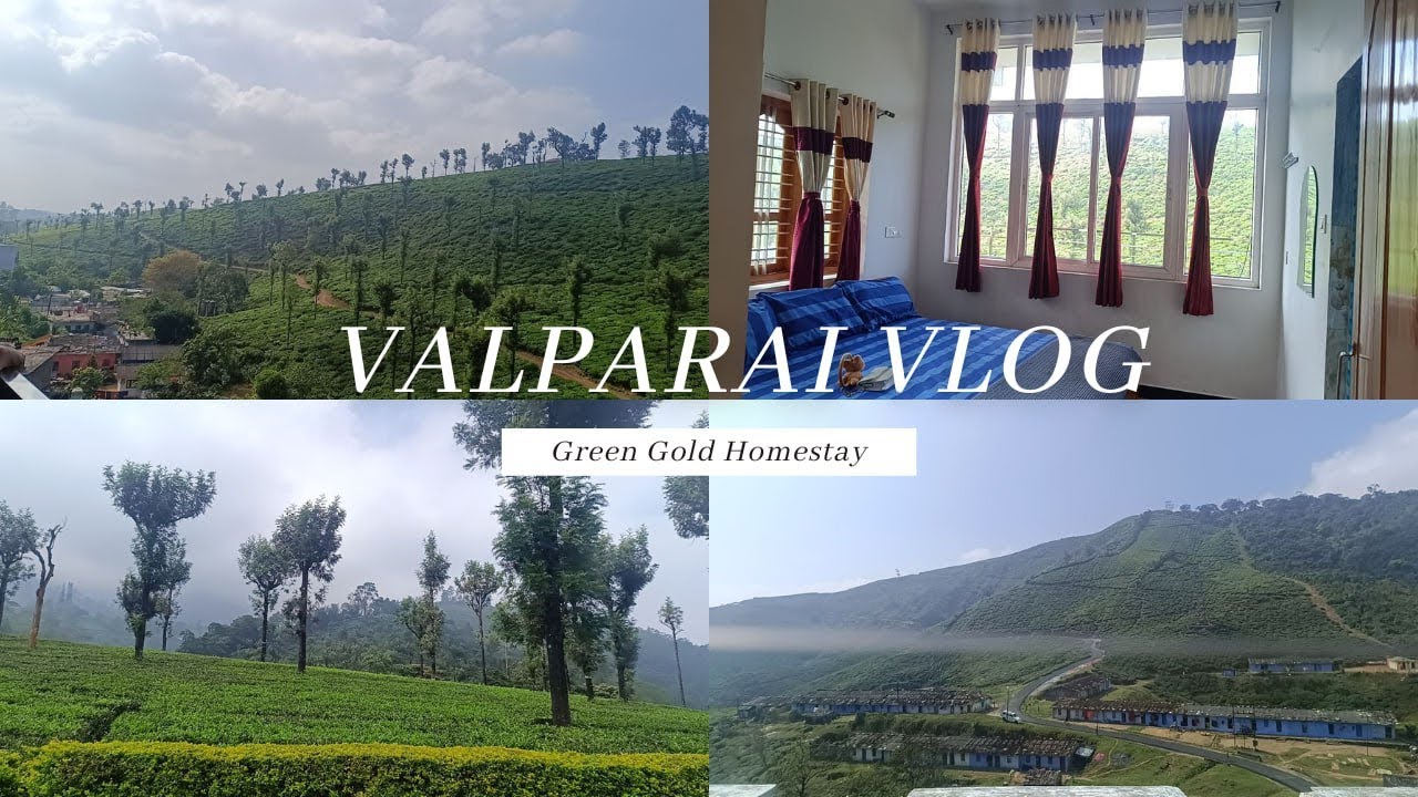 Valparai Vlog & Green Gold Homestay Hotel🏨Exploring the 7th Heaven🤗 ...