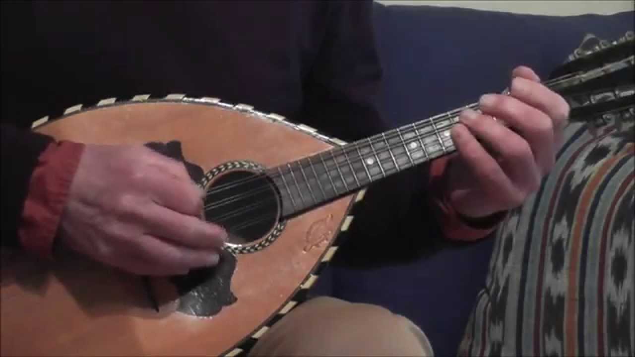 The Lark in the Morning (Irish Mandolin) - YouTube