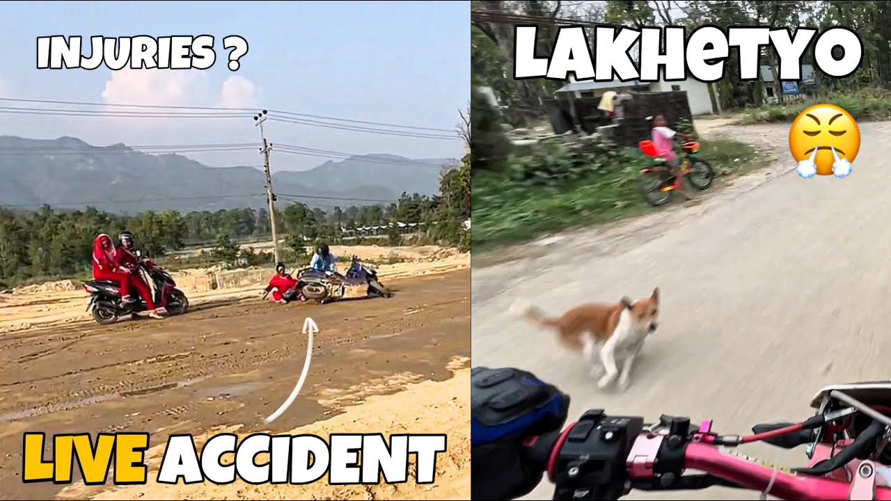 LIVE ACCIDENT ON ROAD || DOG CHASING LIKE HELL - YouTube