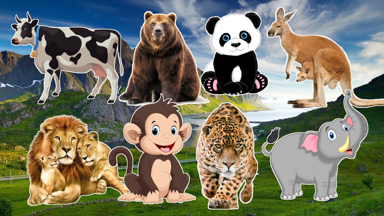 Animal life around us: elephants, tigers, wolves, cows, monkeys ...