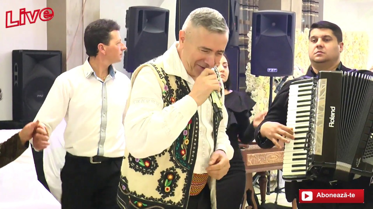 NELU BITINA 2020 HORE SI SARBE 2020 MUZICA DE PETRECERE 2020 COLAJ 2020 ...