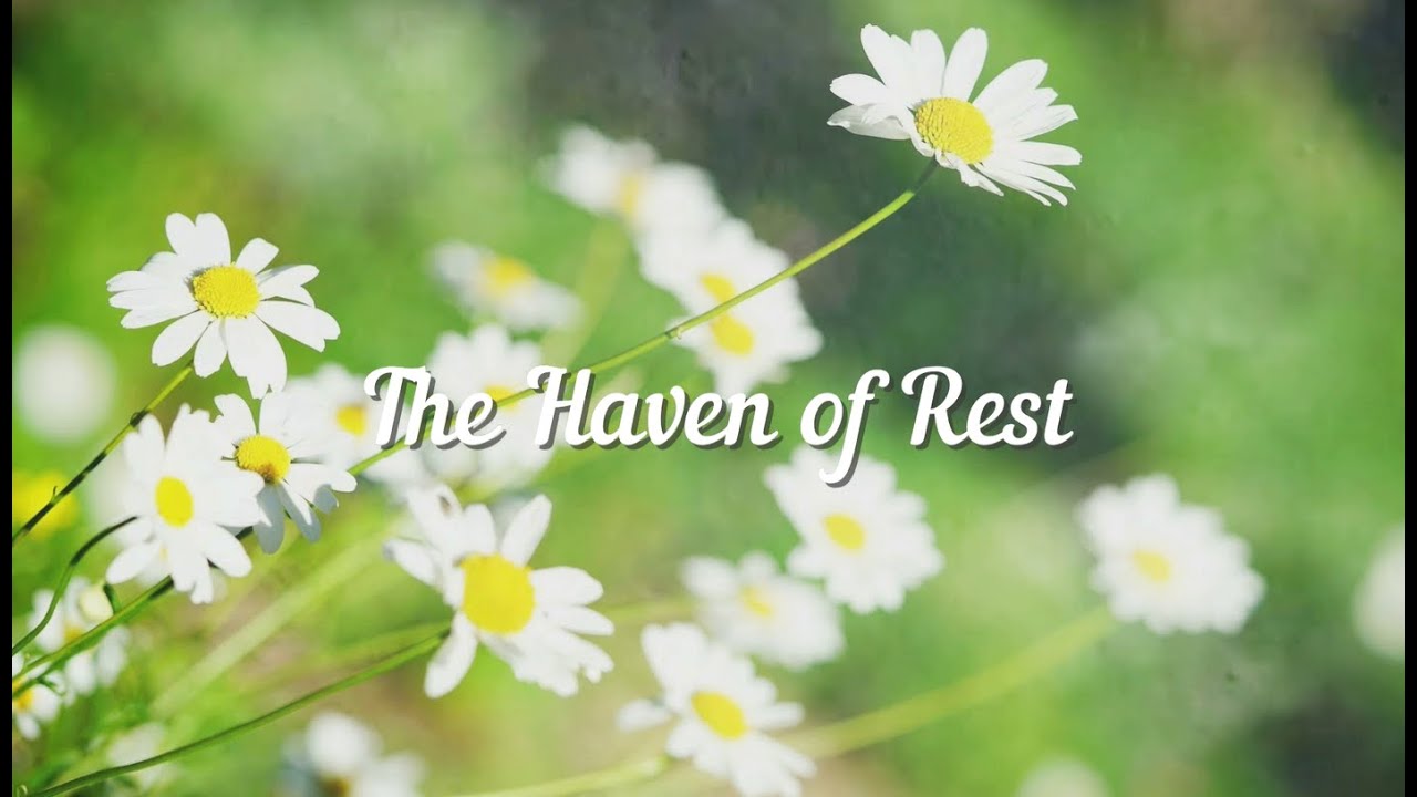 The Haven Of Rest Lyrics, Piano 1 Hour | Old Hymn of the Church | Old ...