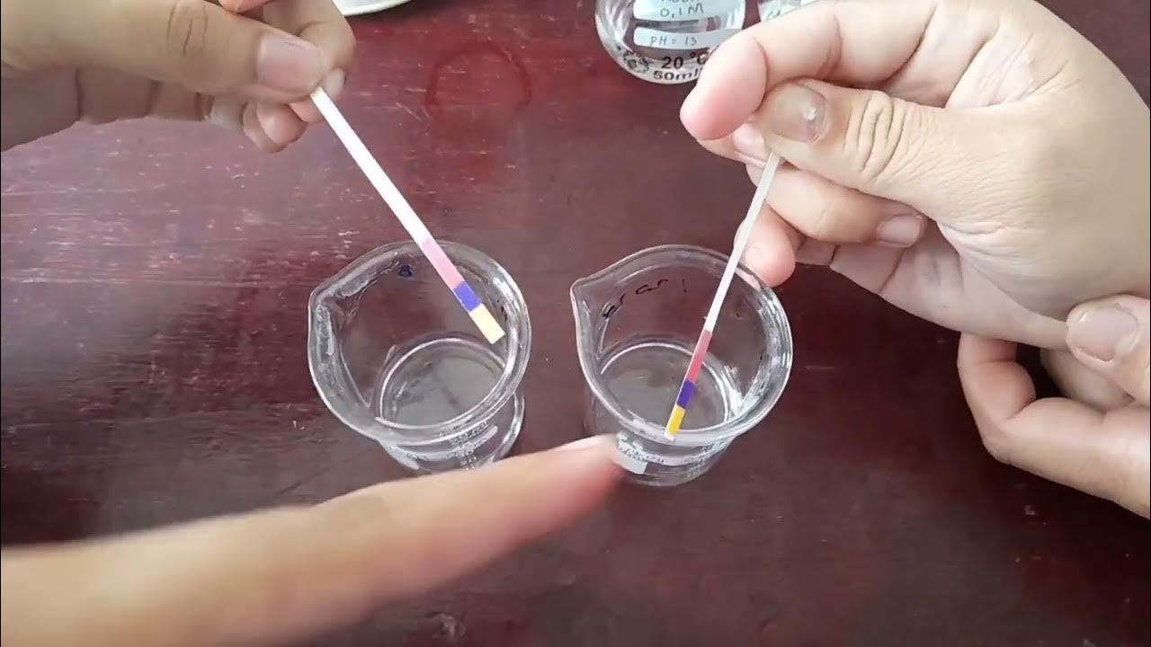 Pengujian pH dengan indikator universal - YouTube