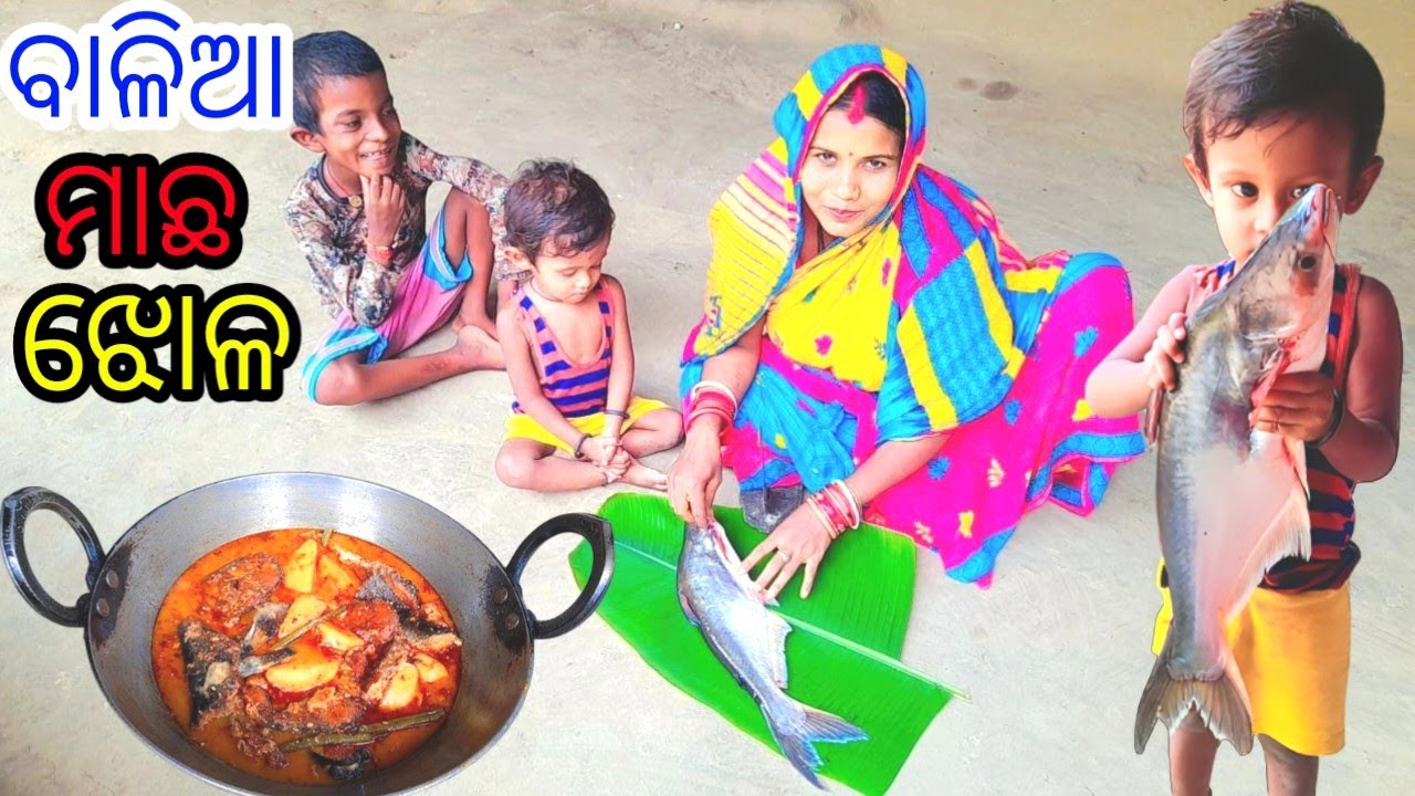 ବାଳିଆ ମାଛ ଝୋଳ/Balia Macha Jhola/Big Fish Curry In Village/Fish Curry ...