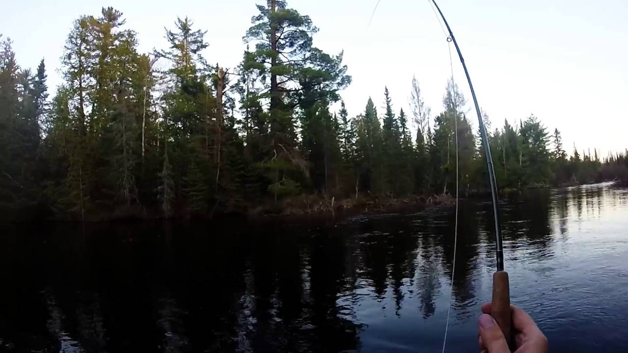 Au Sable River Hendrickson Fly Fishing - YouTube