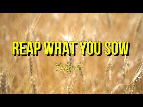Reap What You Sow (Love Anyway) - Yakobi - Contemporary Christian Music With Lyrics - Worship Music