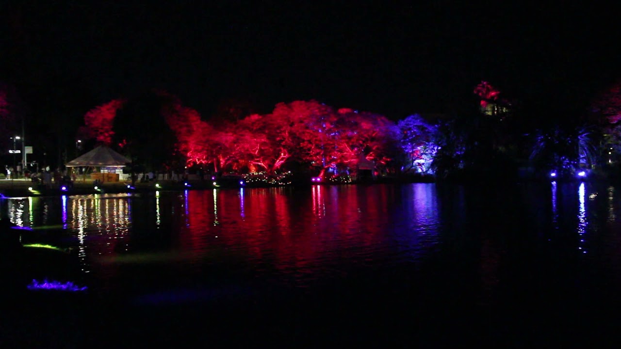 BLOOM Illuminate - Light and Sound Display - YouTube
